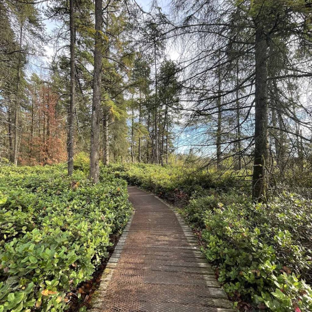 Outdoors: Parks, Trails and Nature - Delta Chamber of Commerce - BC