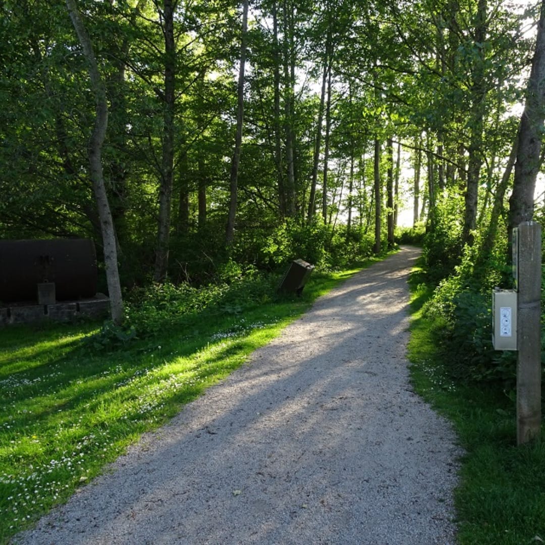 Outdoors: Parks, Trails and Nature - Delta Chamber of Commerce - BC