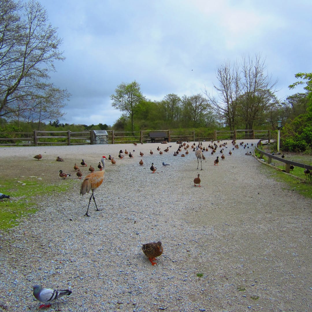 Outdoors: Parks, Trails and Nature - Delta Chamber of Commerce - BC