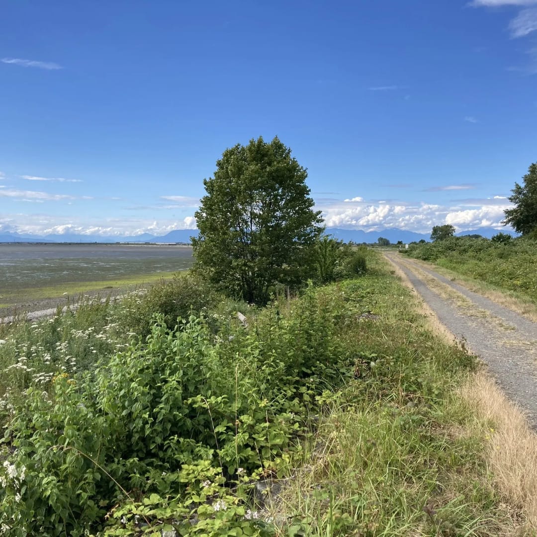 Outdoors: Parks, Trails and Nature - Delta Chamber of Commerce - BC