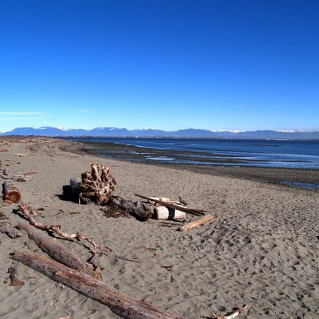 Outdoors: Parks, Trails and Nature - Delta Chamber of Commerce - BC